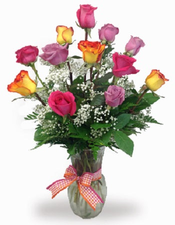Dozen Roses Multicolor – Inova Gift Shops